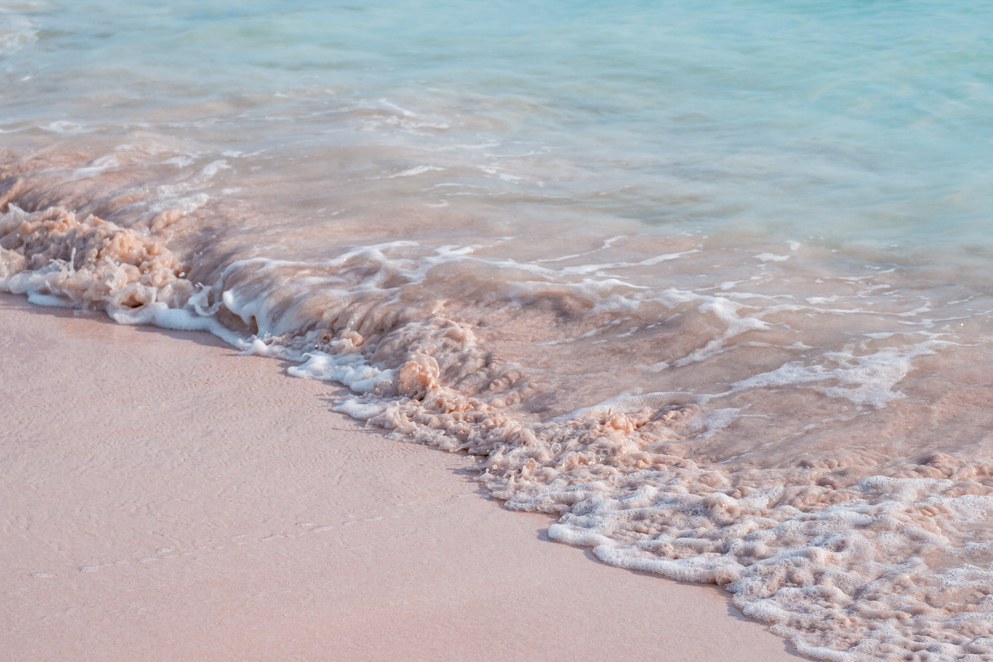 Bimini Yacht Charter | Yacht Rental Bimini | FGI